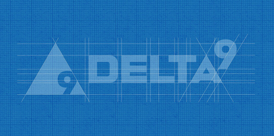 Delta9 Case Study | Devise Interactive